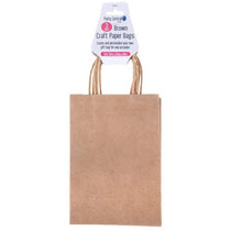 Brown Kraft Paper Party Bags 3pk 21cm x 15cm x 8cm - Party Owls